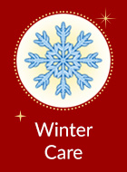 Try Genuine Sample Products for Free* Online in India | Smytten